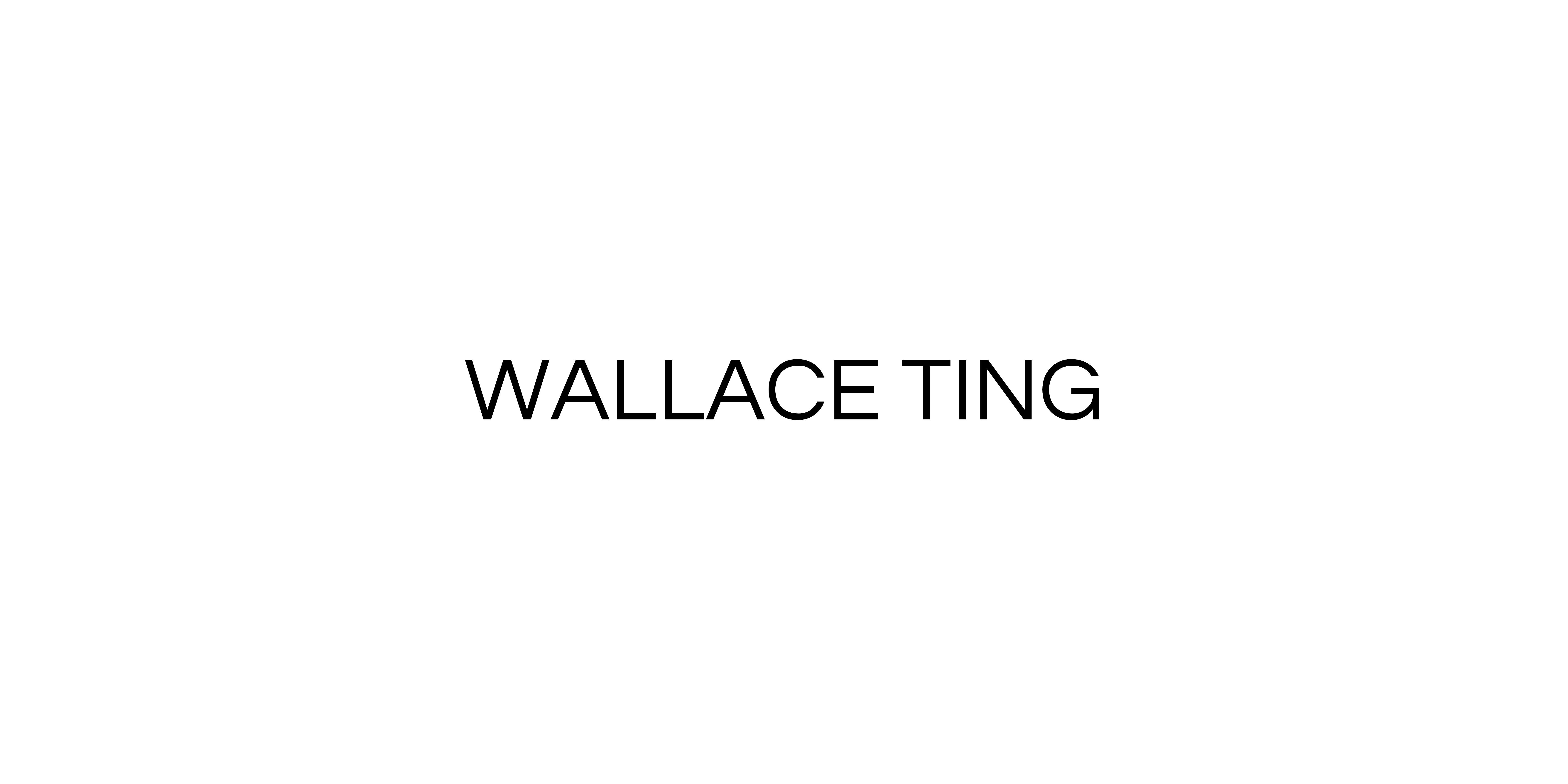 Wallace Ting – SECRET GALLERY PARIS